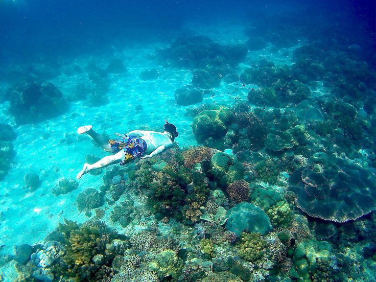 Tubbataha Explore